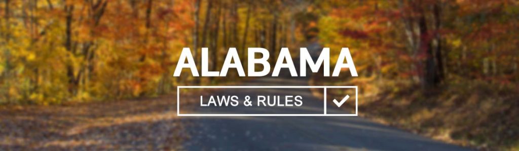 AAA-Senior-Driving-Alabama-Laws – AAA Exchange