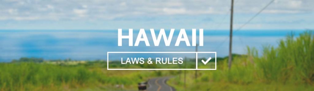 AAA-Senior-Driving-Hawaii-Laws – AAA Exchange