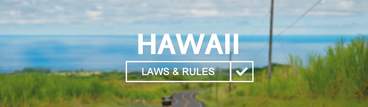 AAA-Senior-Driving-Hawaii-Laws – AAA Exchange