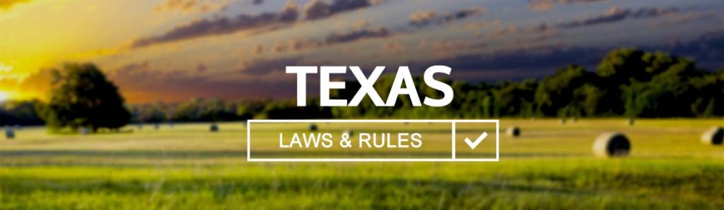AAA-Senior-Driving-Texas-Laws – AAA Exchange