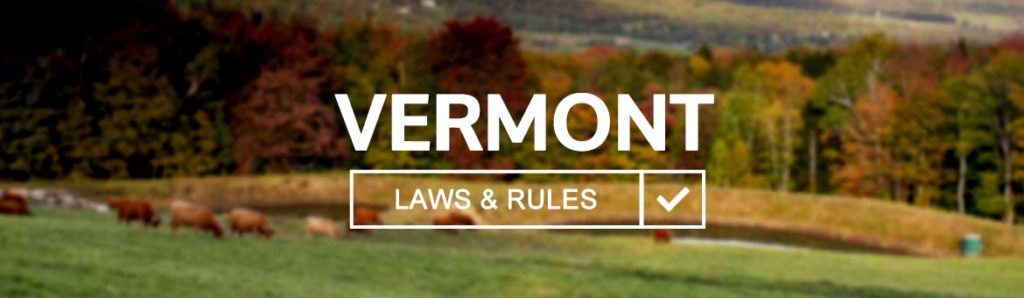 AAA-Senior-Driving-Vermont-Laws – AAA Exchange