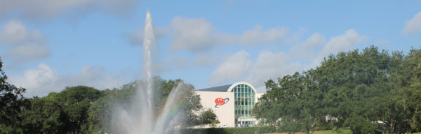 About AAA – AAA Exchange